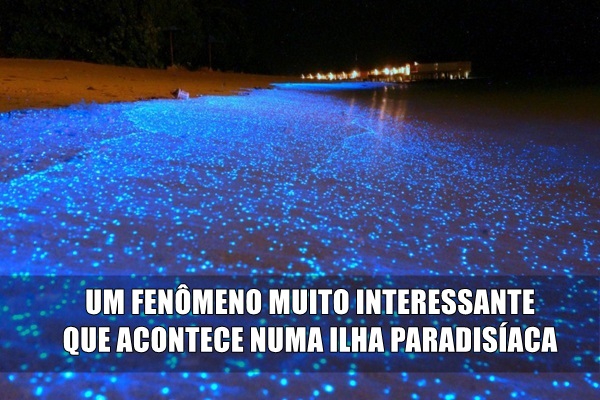 ConheƧa a praia que brilha no escuro ConheƧa a praia que brilha no escuro